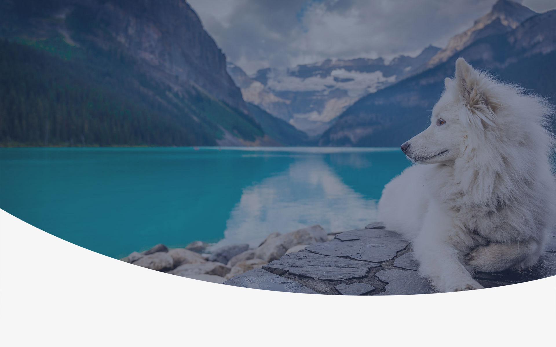 NEKMAR PET NUTRITION SLOVENSKO | Psie krmivo